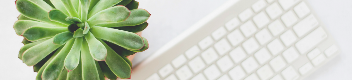 Employee Appreciation Day – H.Bloom