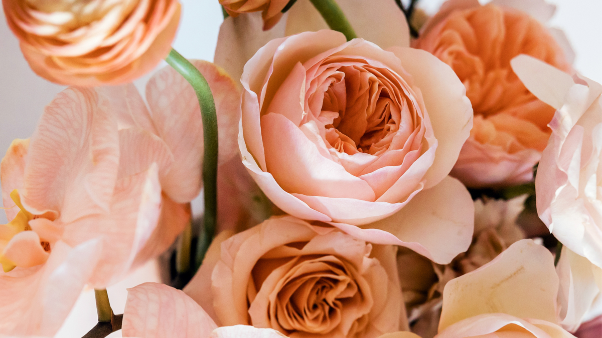 Top Flower Trends to Watch for in 2024 – H.Bloom