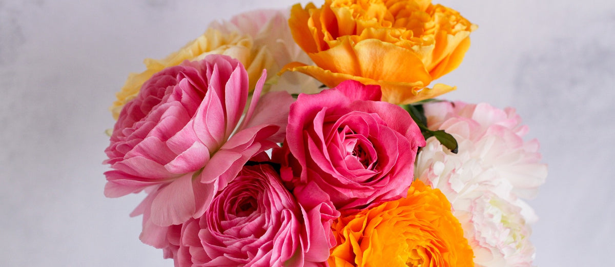 Flower Glossary: The Meanings of Ranunculus Based on Their Colors – H.Bloom