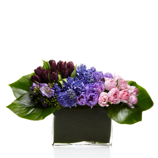 Platinum – H.Bloom